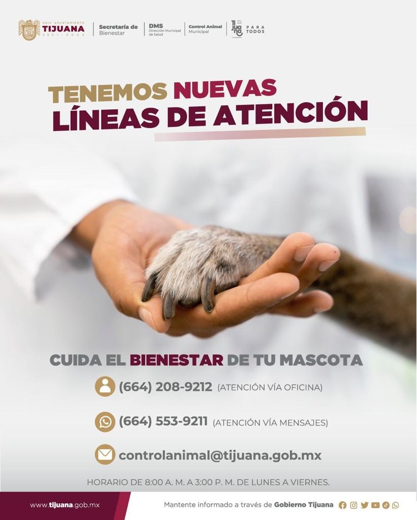 Habilitan nuevas vías de comunicación para denunciar maltrato animal en ...