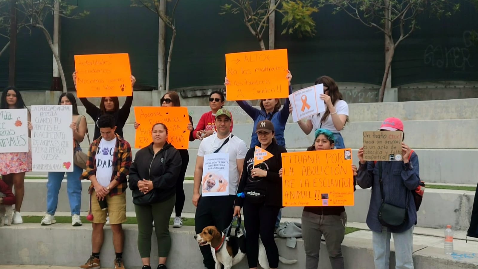 Continua abandono animal en Tijuana; preocupa próxima temporada de ...