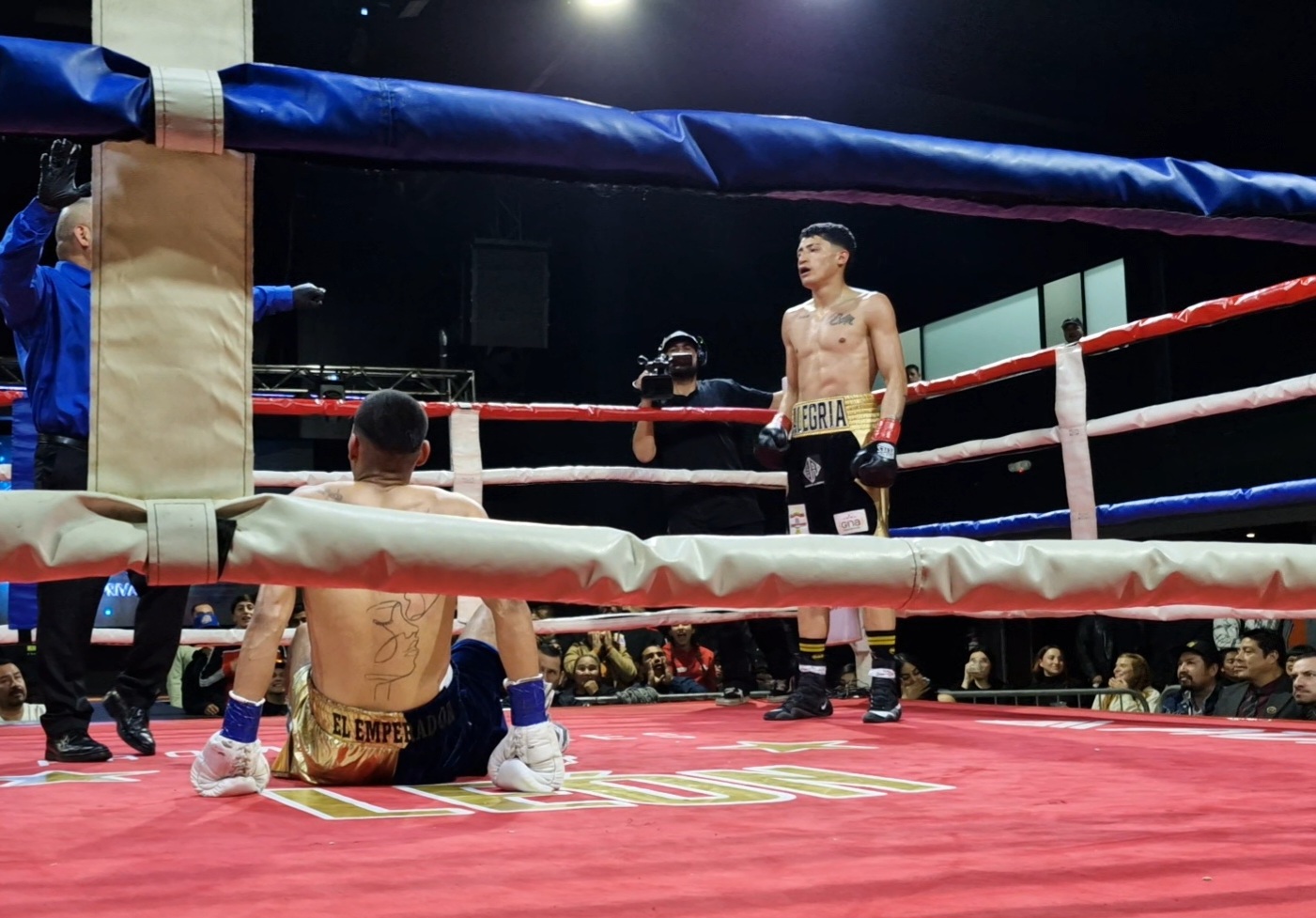 Brandon Alegría noquea en 2do round | Síntesis TV